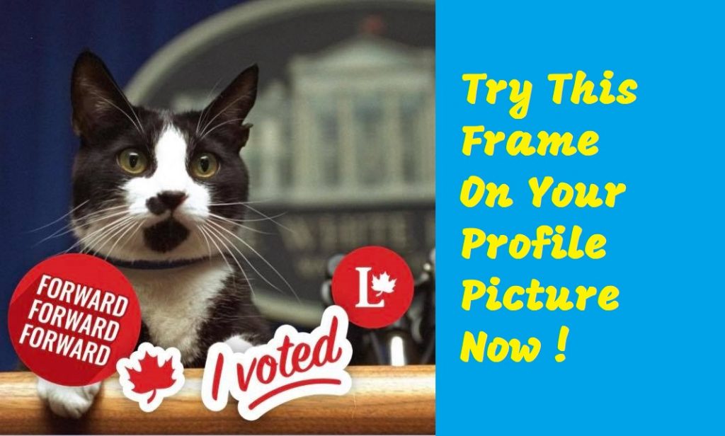 I Voted ! Frames🍁: Canada Frame For Your Profile Picture 😍 ...